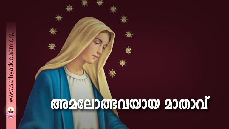 അമലോത്ഭവയായ മാതാവ്