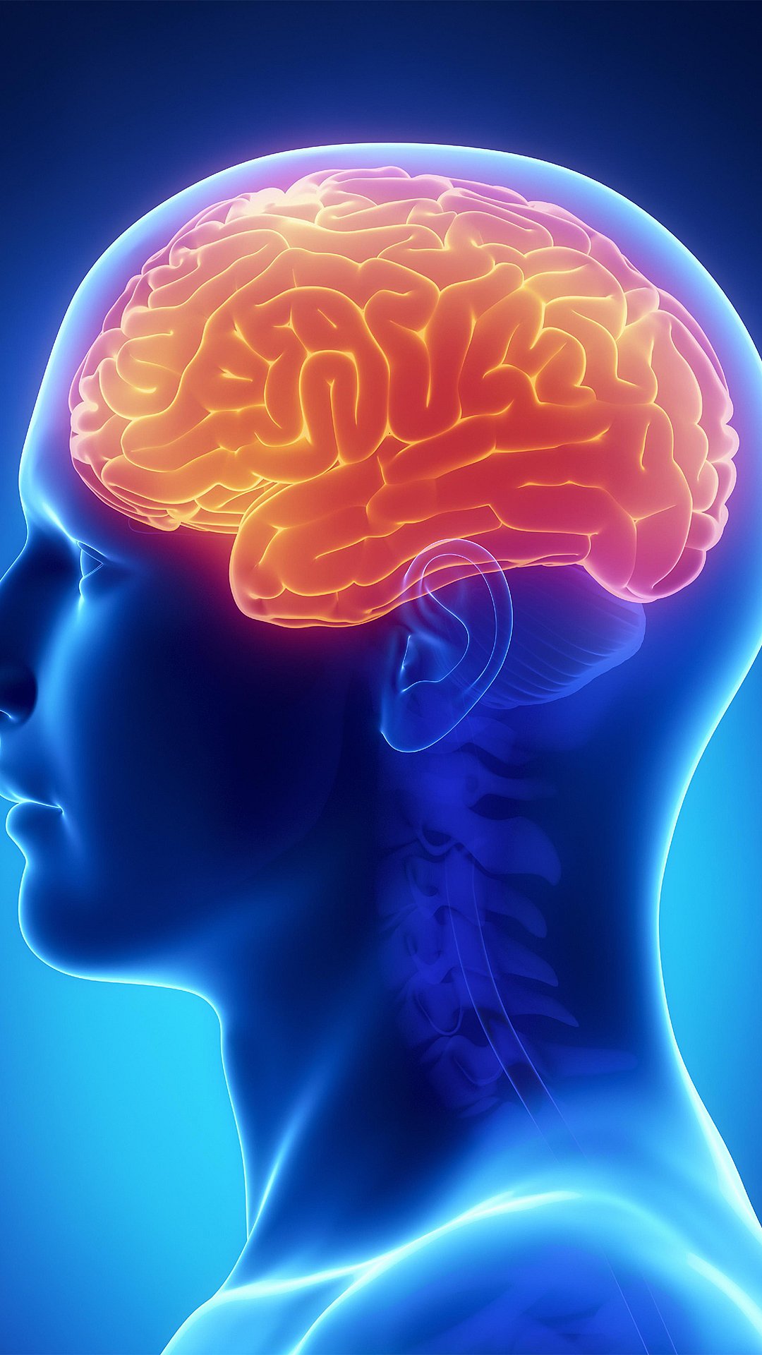 5 Ways To Enhance Brain Fitness
