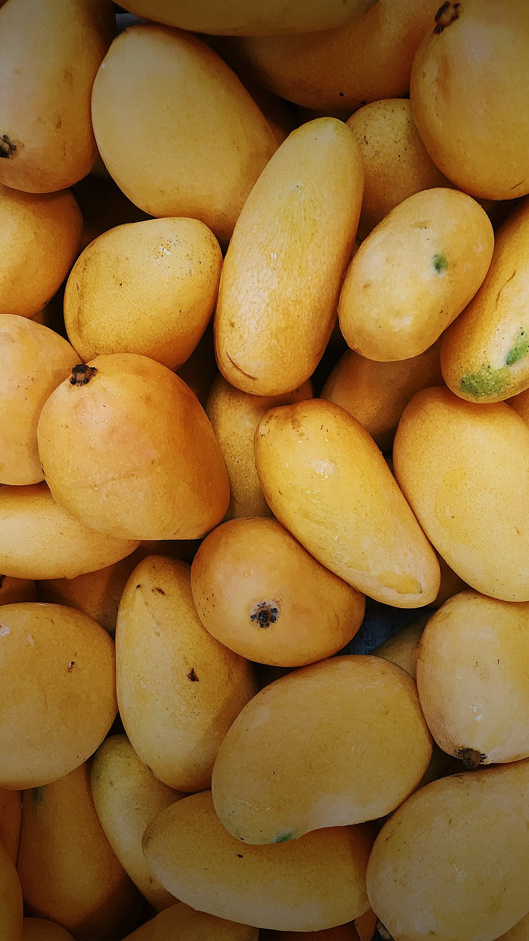 National Mango Day: Top 5 Health Benefits Of Mango