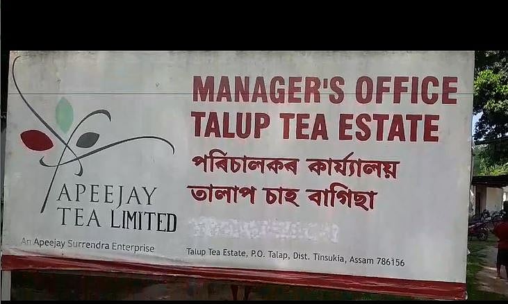 Assam: Talup Tea Estate in Crisis, Employees Face Uncertain Future