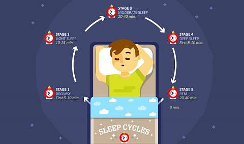 The Impact of Sleep Cycles on Brain Functions: Enhancing Cognitive ...