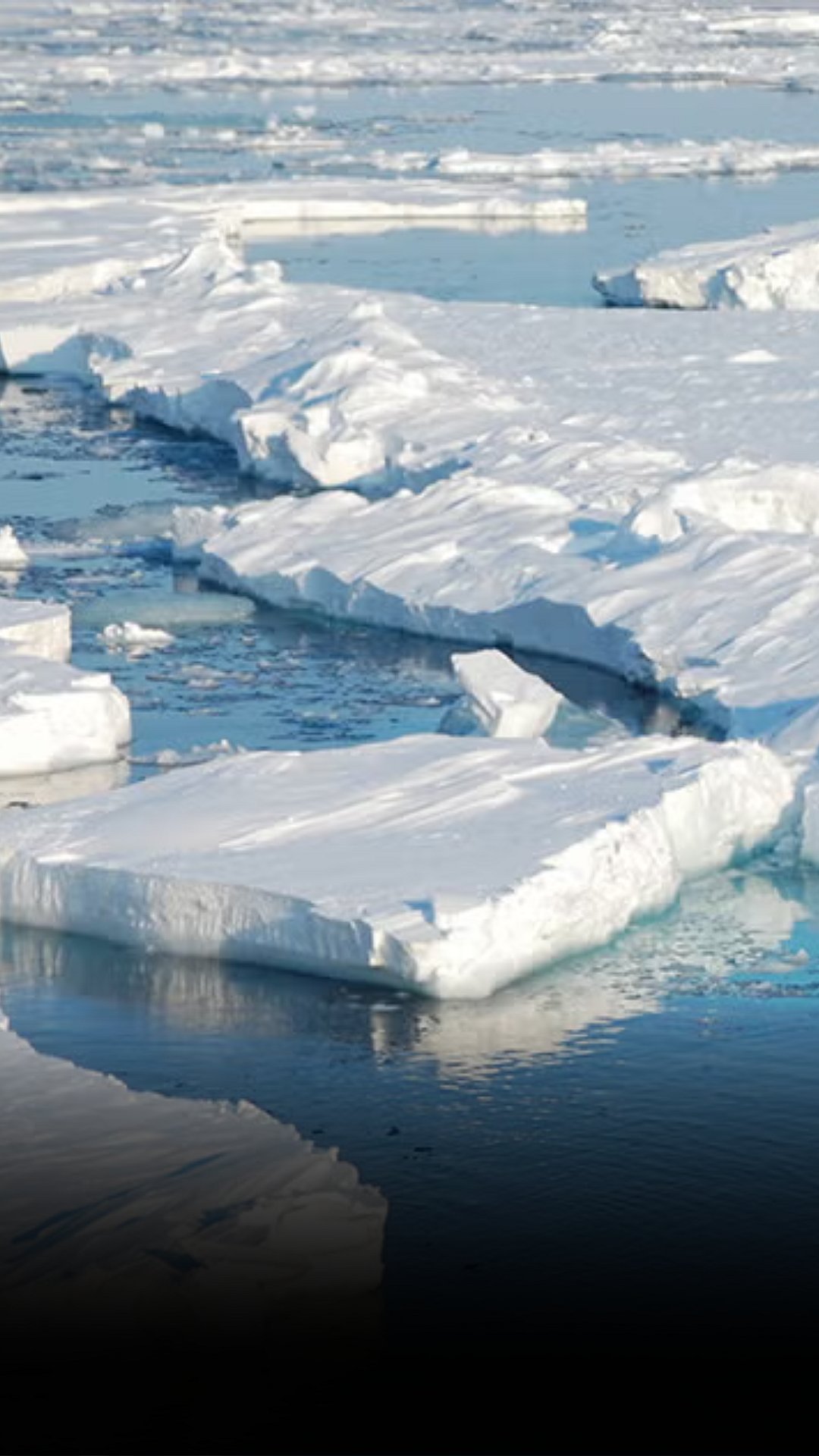 Arctic Set to Become Ice-Free as Temperatures Rise, Researchers Warn