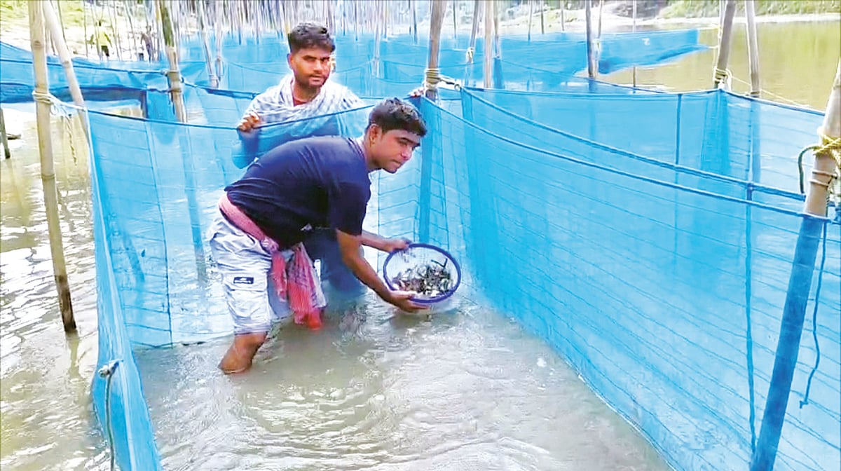 Rangia Fish Seed Market Boosts Jobs and Aquaculture in Northeast Assam