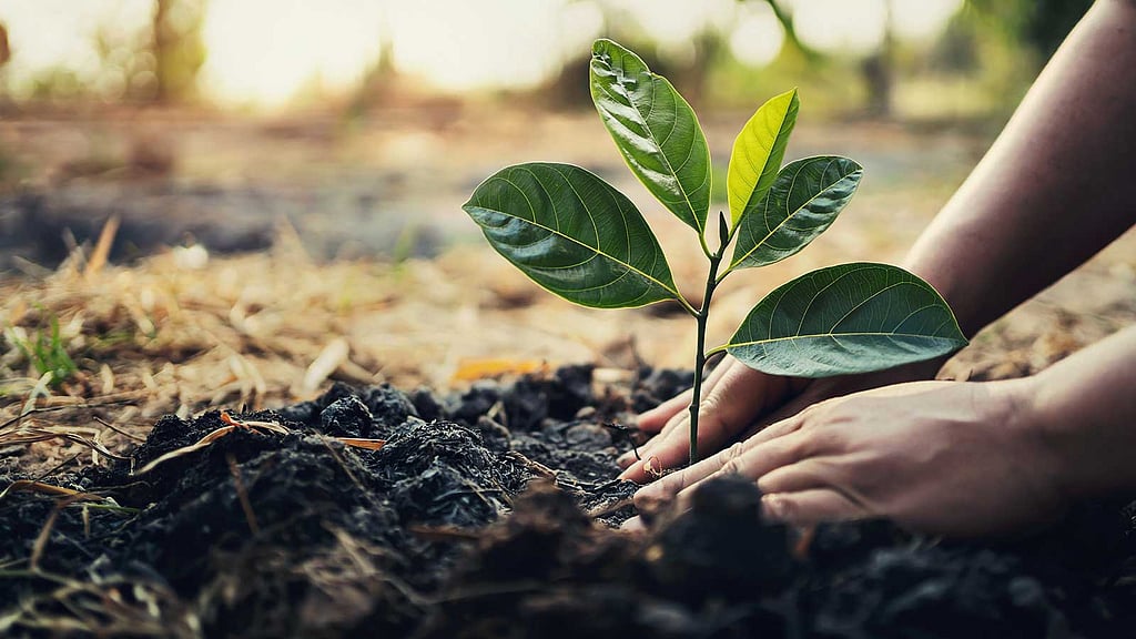 Tree plantation drive by Bodhidrum Adhyayan Chakra, NCC cadets