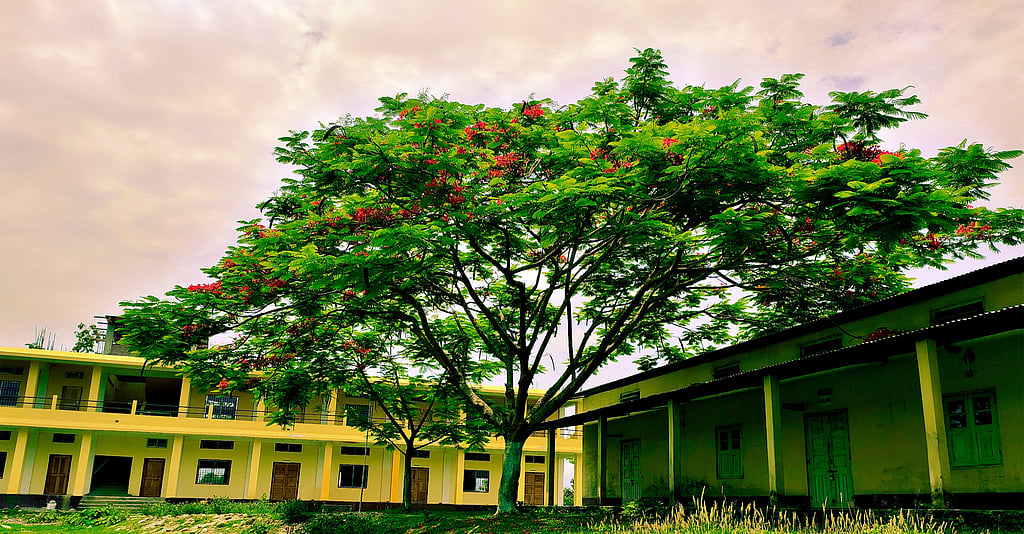 Freshmen social celebrated at Chatia College with daylong events