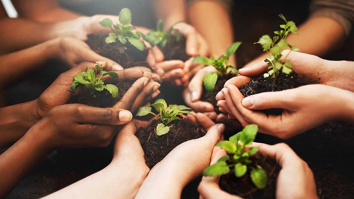 Assam: Bajali DC distributes saplings to visitors before transfer