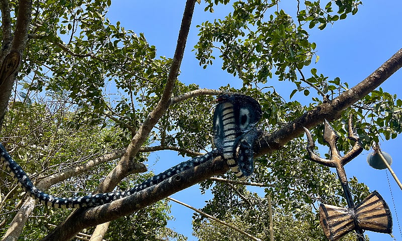 Straw snake in Bajali’s Titka village stands unmoved,