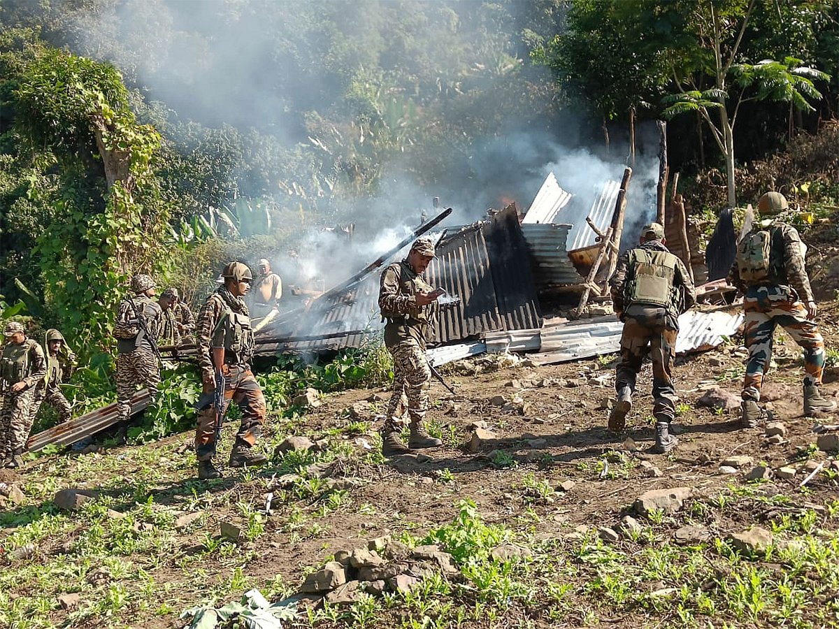 Manipur: 25 acres of poppy fields destroyed in Kangpokpi