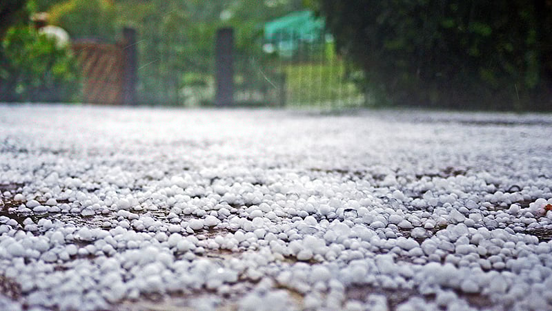 Assam: Hailstorm Alert Issued for Multiple Districts in Assam