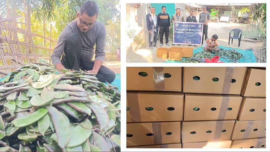 Guwahati: Assam's 'Urohi' Make a Mark in London Markets with 1,000 kg ...
