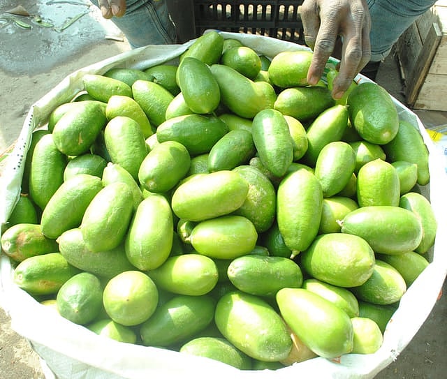 Assam: Kaji Nemu, Urohi springs onto Global stage among 27 Indian agri ...