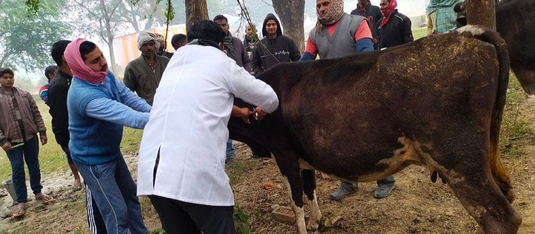 Nagaon Sadar Veterinary Hospital organized animal health fair under Self Priority Fund 2023-24 ...