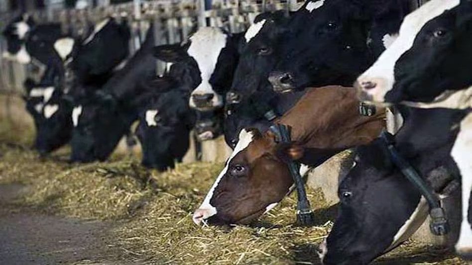 New Delhi: Union Cabinet Greenlights Rs. 29,610.25 Crore Infusion to ...