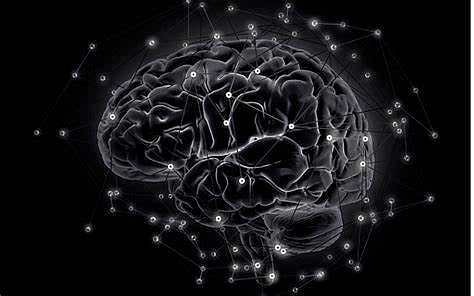 Insight into how brain awakens from anesthesia