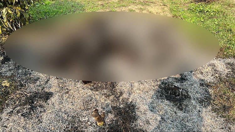 Assam: Unidentified Assailants Set Man on Fire at Kasujan Tea Estate ...