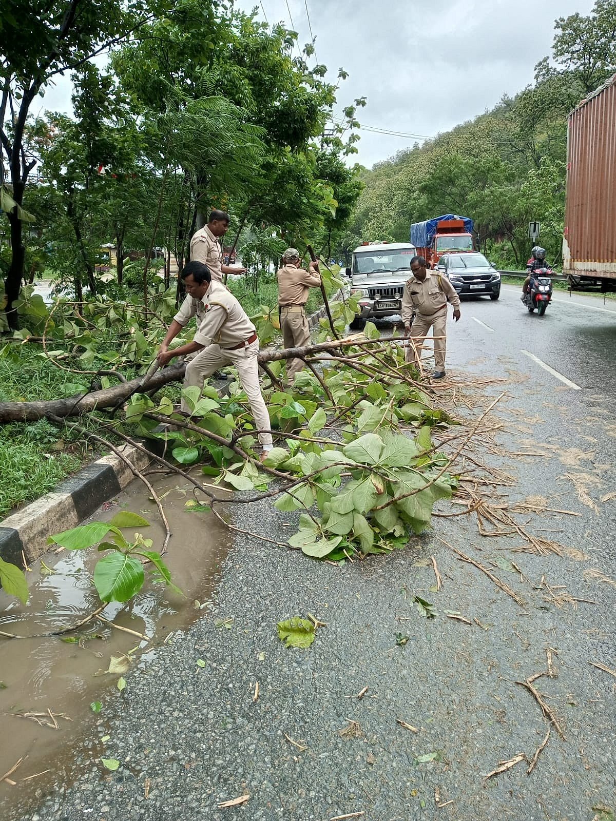 Cyclone 'Remal' Ravages Assam: Powerful Winds, Torrential Rain Leave ...