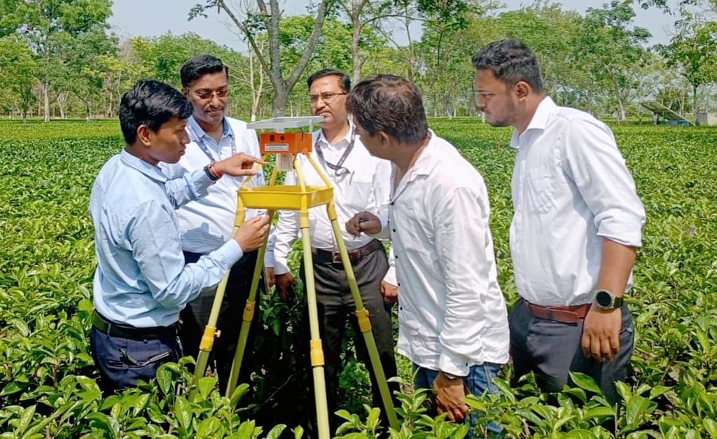 NABARD, IFFCO Kisan collaborate to support small tea growers in ...