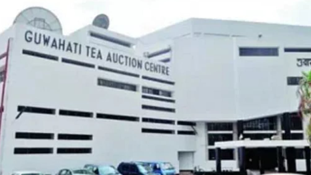 Assam: Both CTC and bought leaf tea fetched record prices at GTAC in ...