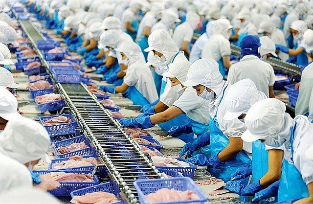 India records all-time high sea food export in FY 24