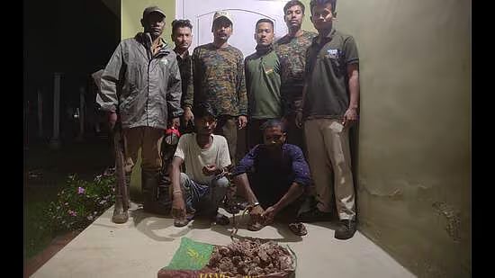Assam: Two Poachers Possessing Hog Deer Meat Nabbed In Kaziranga