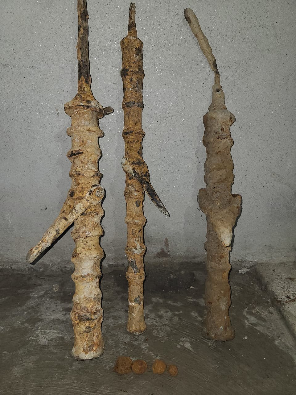 Three Medieval Swivel Cannons Unearthed in Dhubri, Sent to District ...