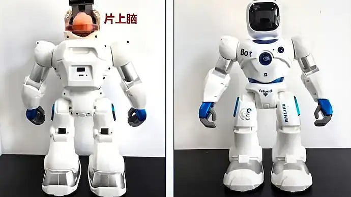 Researchers Develop Humanoid Robot with Human Brain Cells, Ushering in ...