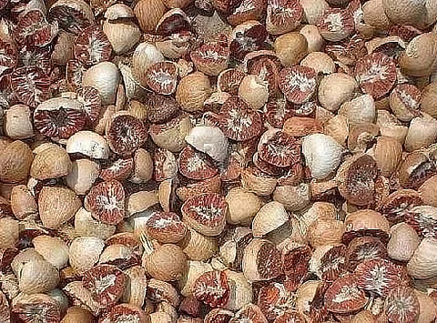 Assam: 500 bags of Burmese betel nut seized in Lakhipur