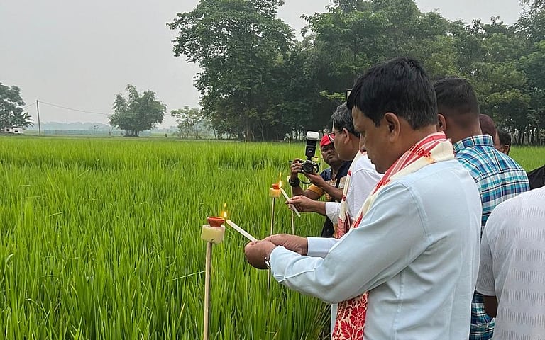 Dhubri District Agriculture Office Celebrates Kati Bihu in ...