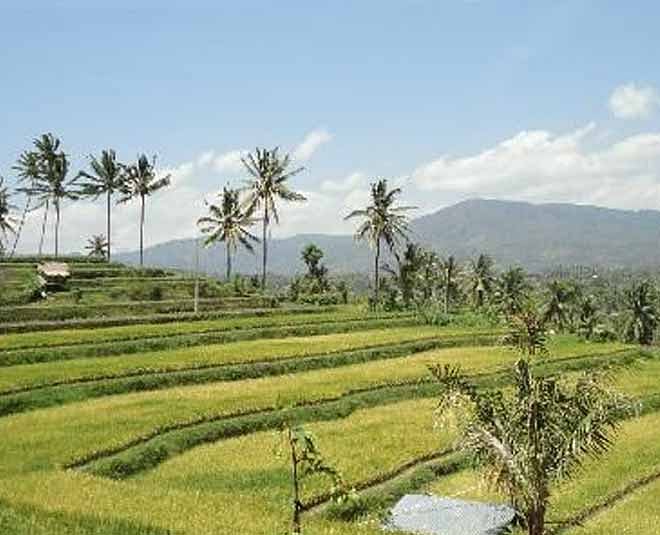 Assam Government Transfers Administrative Control Of 12 Villages Under ...