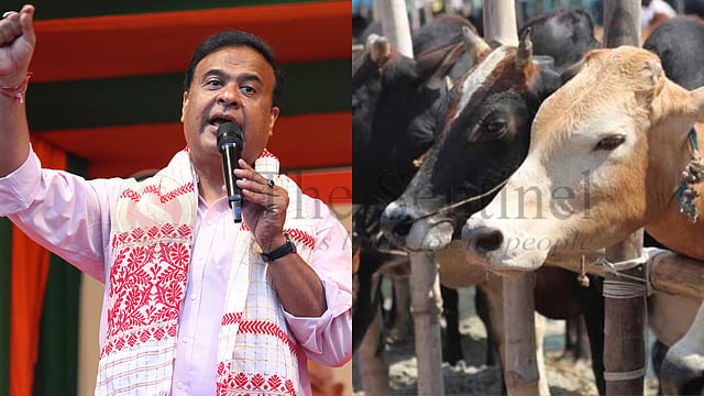 “Beef head” incident at Dhubri: Assam CM orders shoot-at-sight, 38 detained