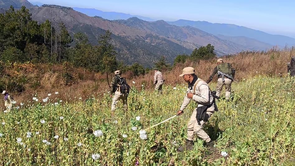 Manipur: 50 Acres of Illegal Poppy Cultivation Destroyed; Total 160 ...