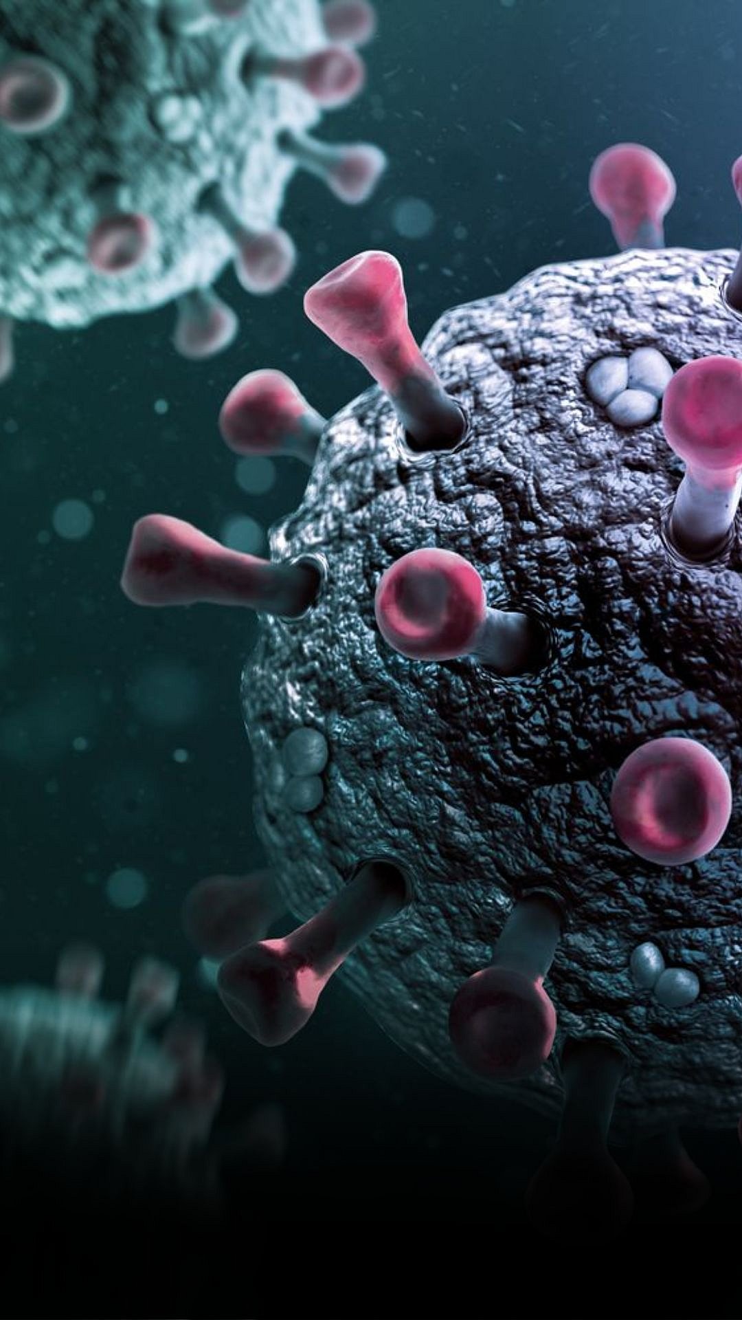 HMPV Outbreak In China: All You Need To Know About The New Virus