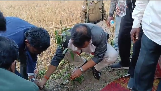 Assam: Gyanjyoti SHG Launches Bambaiya Lychee Plantation Drive in Sootea