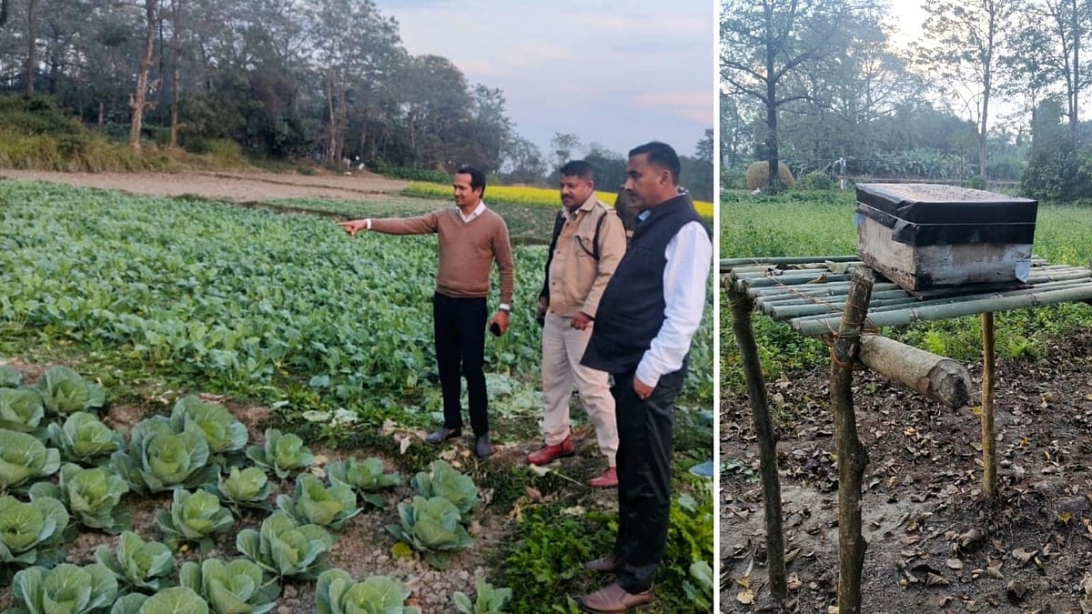 Assam: Barpeta District Jail becomes Agri-Horti Hub