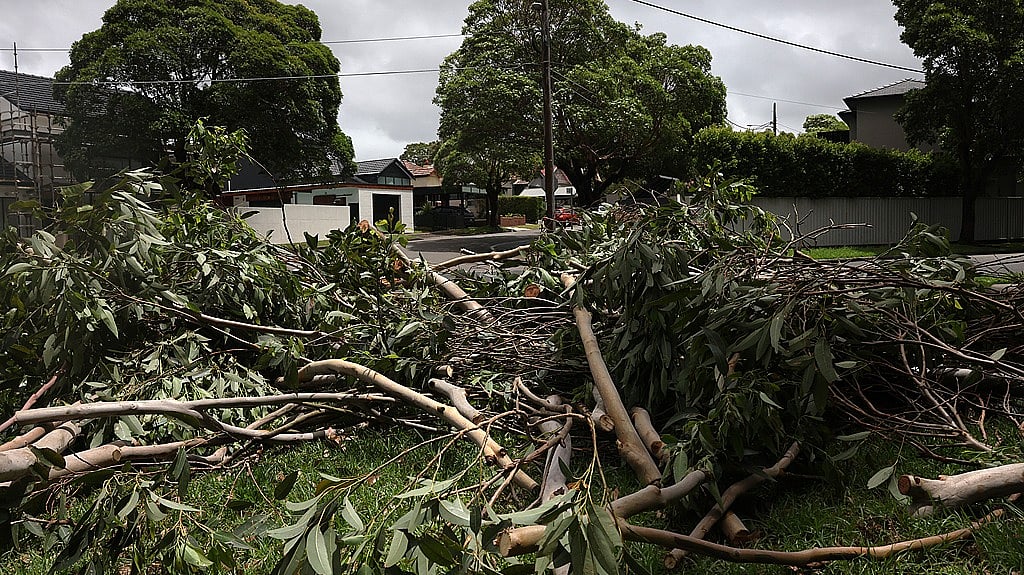 Damaging storm leaves thousands without electricity on Australia's east ...