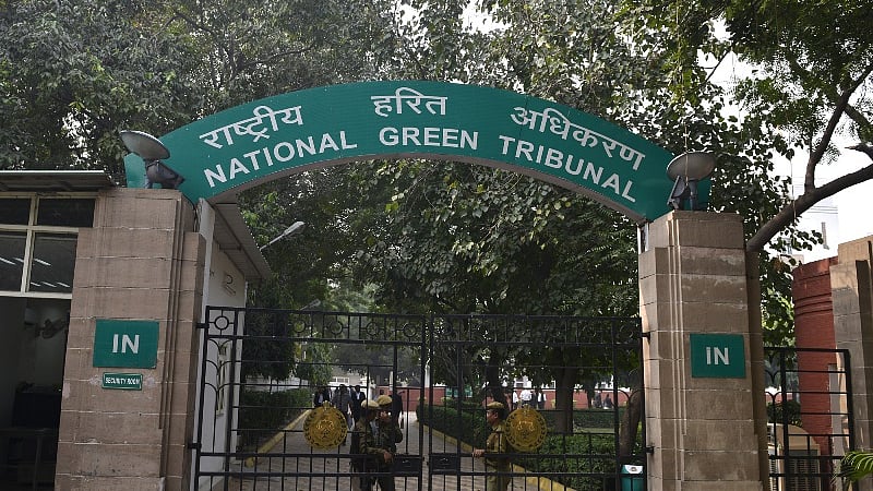 NGT Seeks Responses Over Seven Elephants Killed in Assam Train Mishap