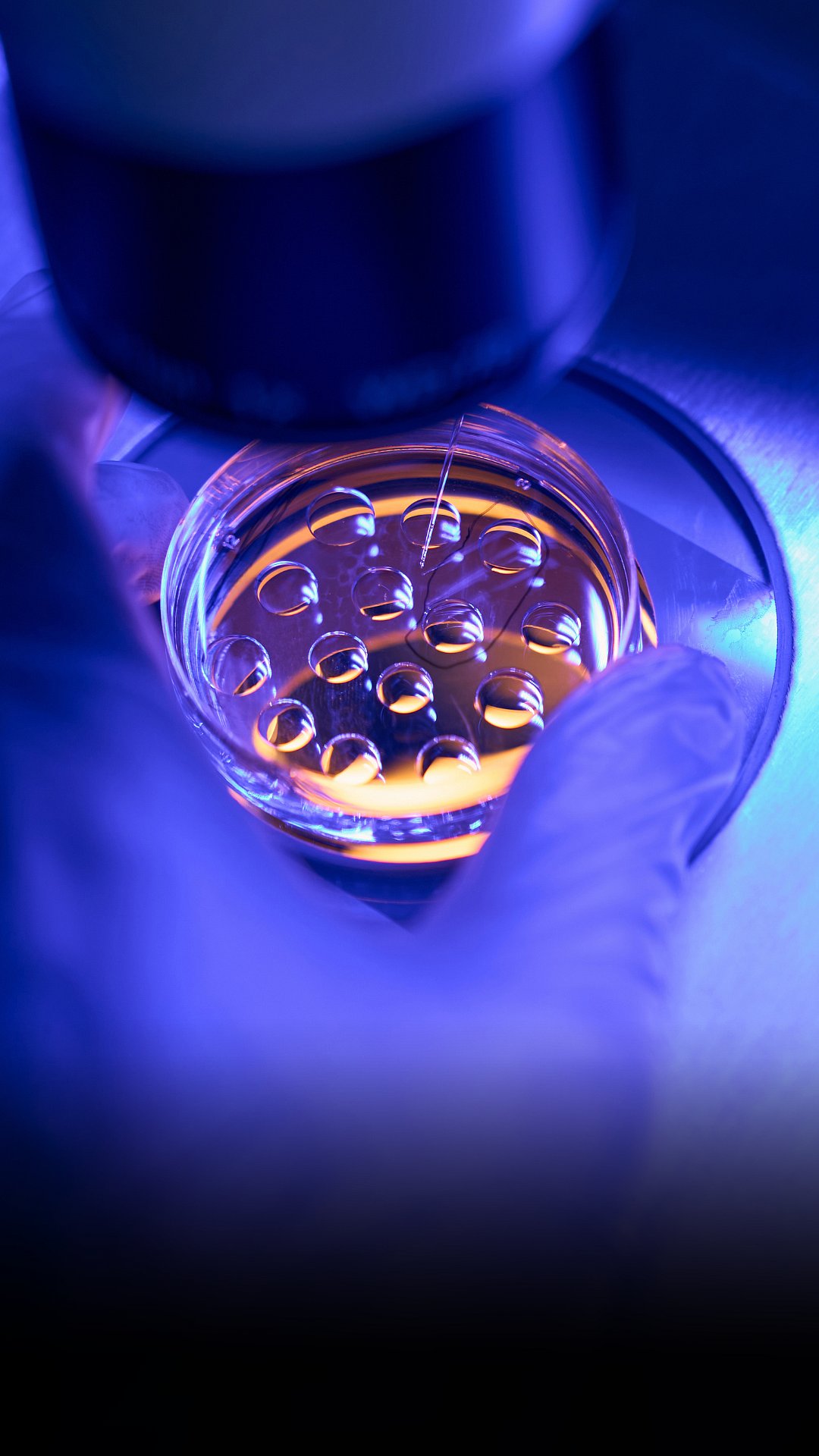Custom-Built Babies? Lab-Grown Sperm & Eggs Could Let Parents Choose IQ ...