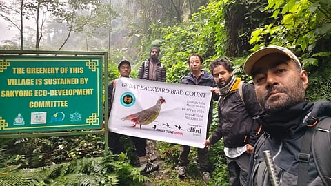 Sikkim: Over 150 Bird Species Recorded In Dzongu Hills During Great ...
