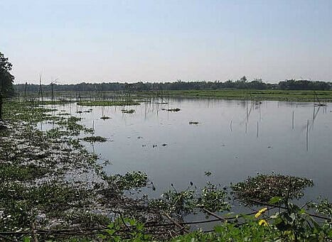 Goalpara District Takes Steps to Boost Tourism at Urpad Beel