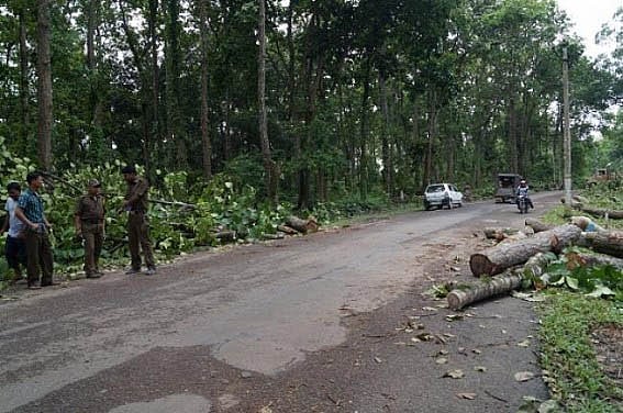Assam: 94,000 Trees Felled in 4 Years for National Highway Development ...