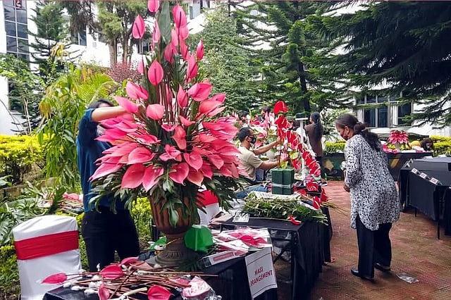 Mizoram's Anthurium Exports to Singapore to Boost Floriculture Growth