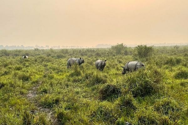 Deterrent anti-poaching measures for Manas
