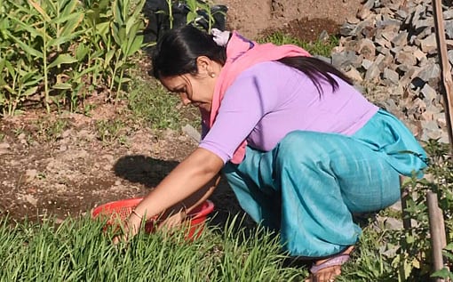 Manipur’s ‘Waste to Wealth’ agripreneur builds green economy