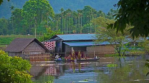 Assam: Flood recedes in Kaziranga; 25 forest camps still inundated