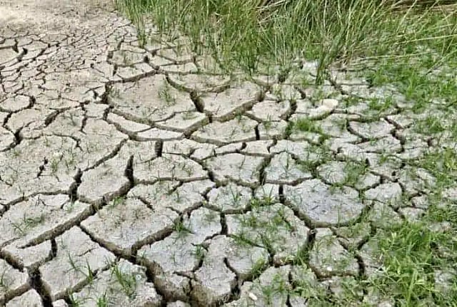 Climate change in Assam: Regional impacts and future risks