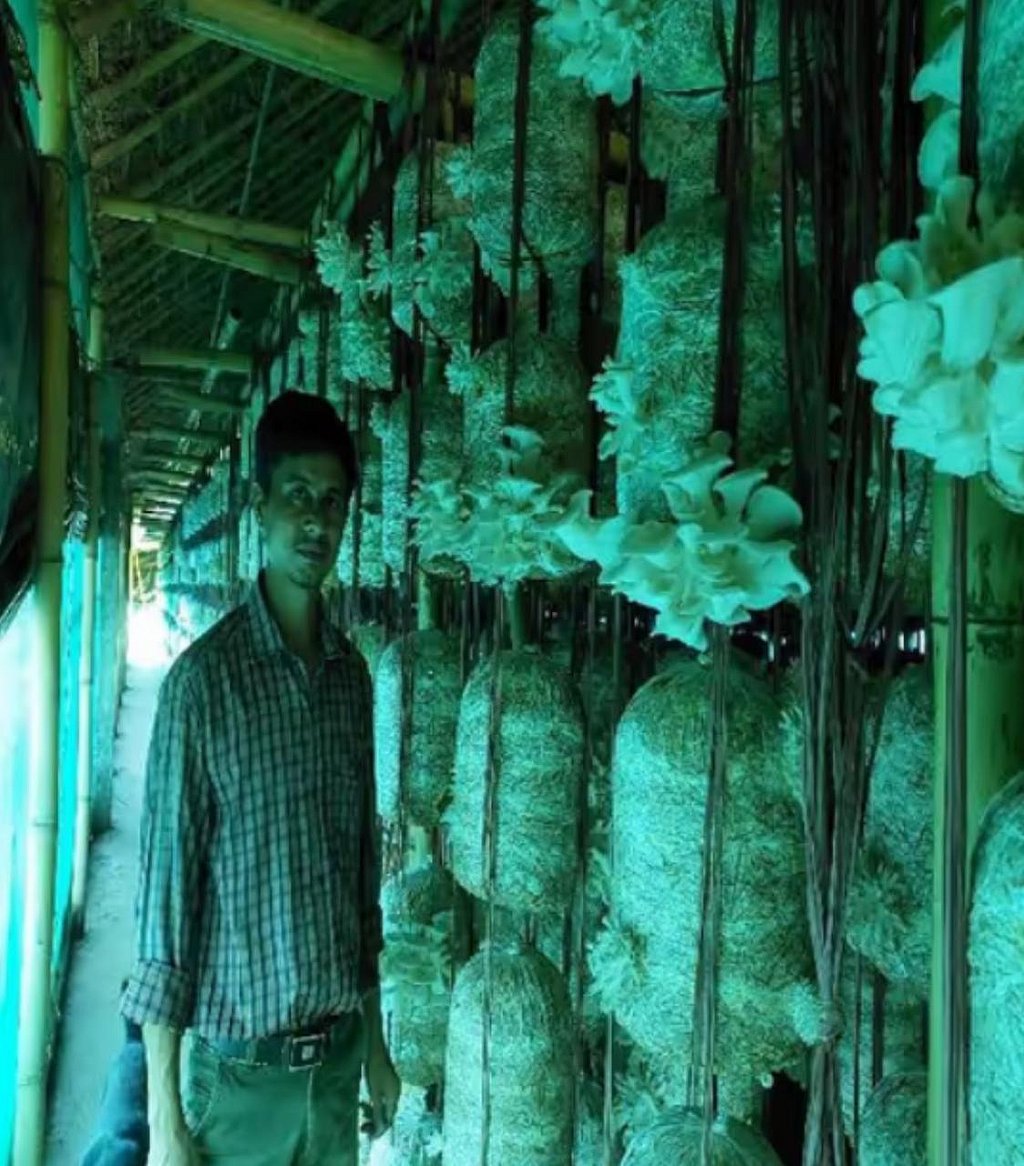 Assam Farmer Wins National Mushroom Grower Award 2025