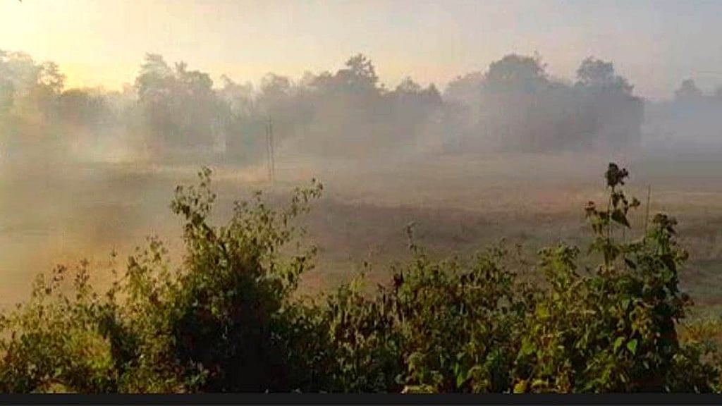 Wrapped in winter fog, Majuli offering mesmerising morning views