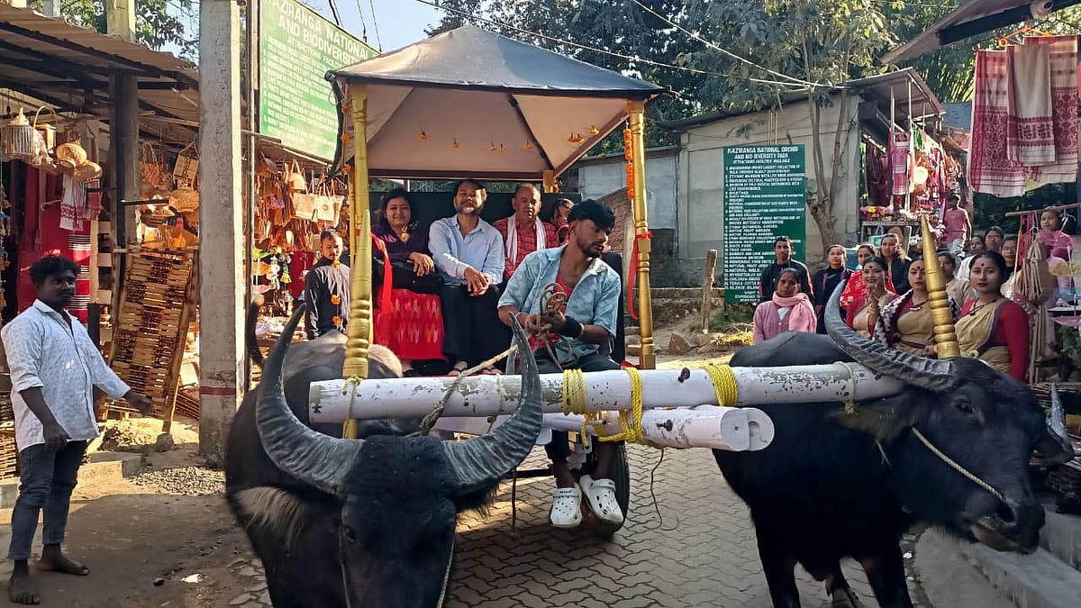 Buffalo carts & horse-drawn carriages introduced at Kaziranga