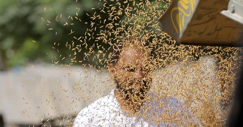 Historic Labour Code reforms to accelerate growth, create more jobs