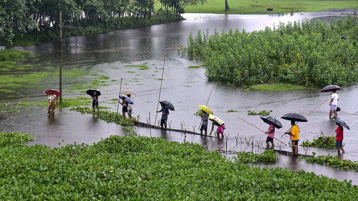 Assam: Repeated floods devastate Kenduguri farmers, yet hope persists